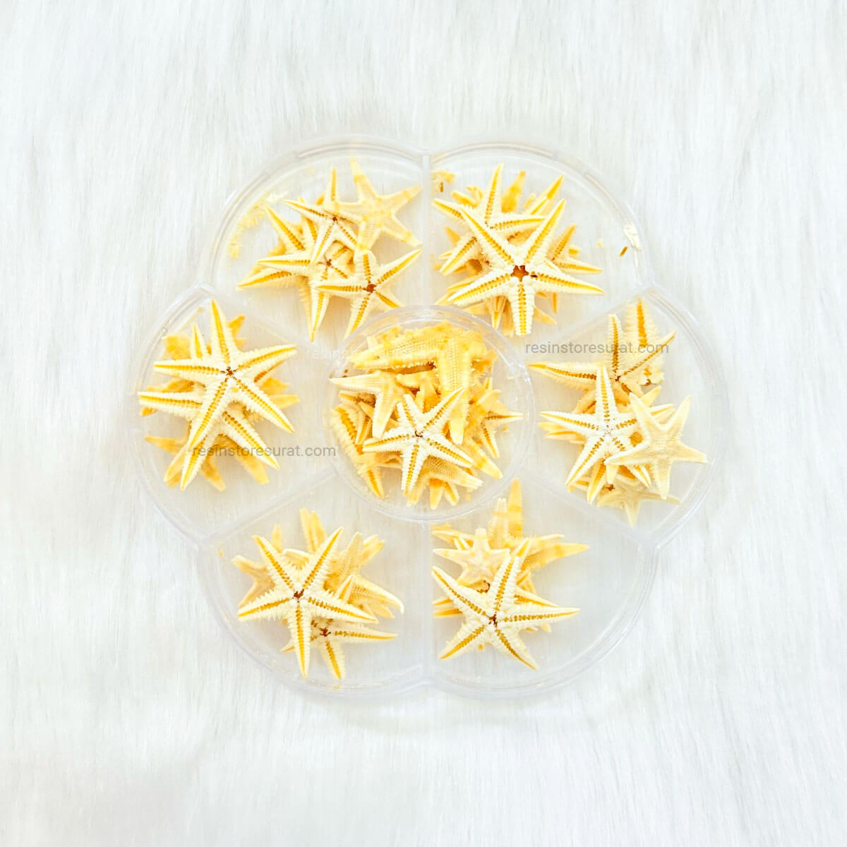 Star fish set for resin art – Resin Store Surat