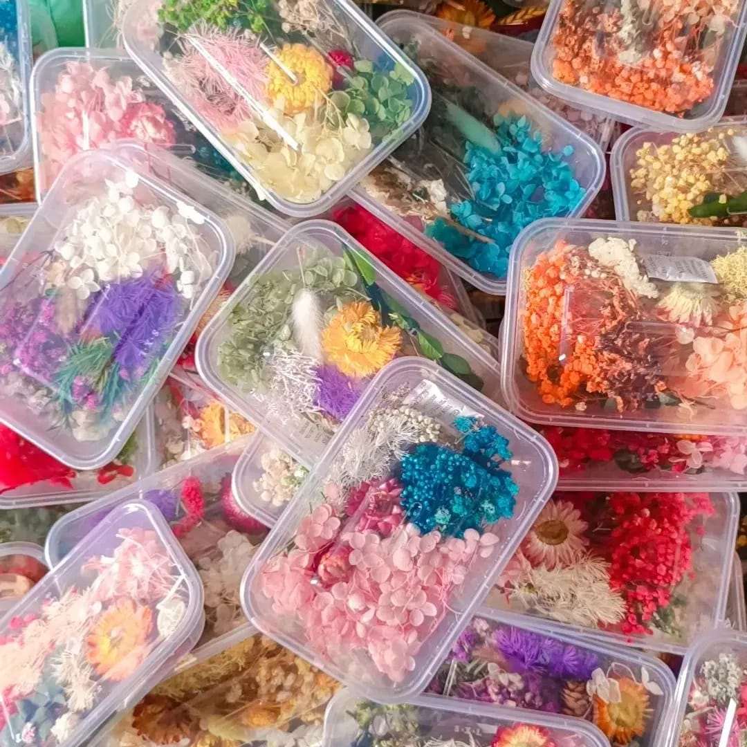 Dry & Pressed Flower – Resin Store Surat