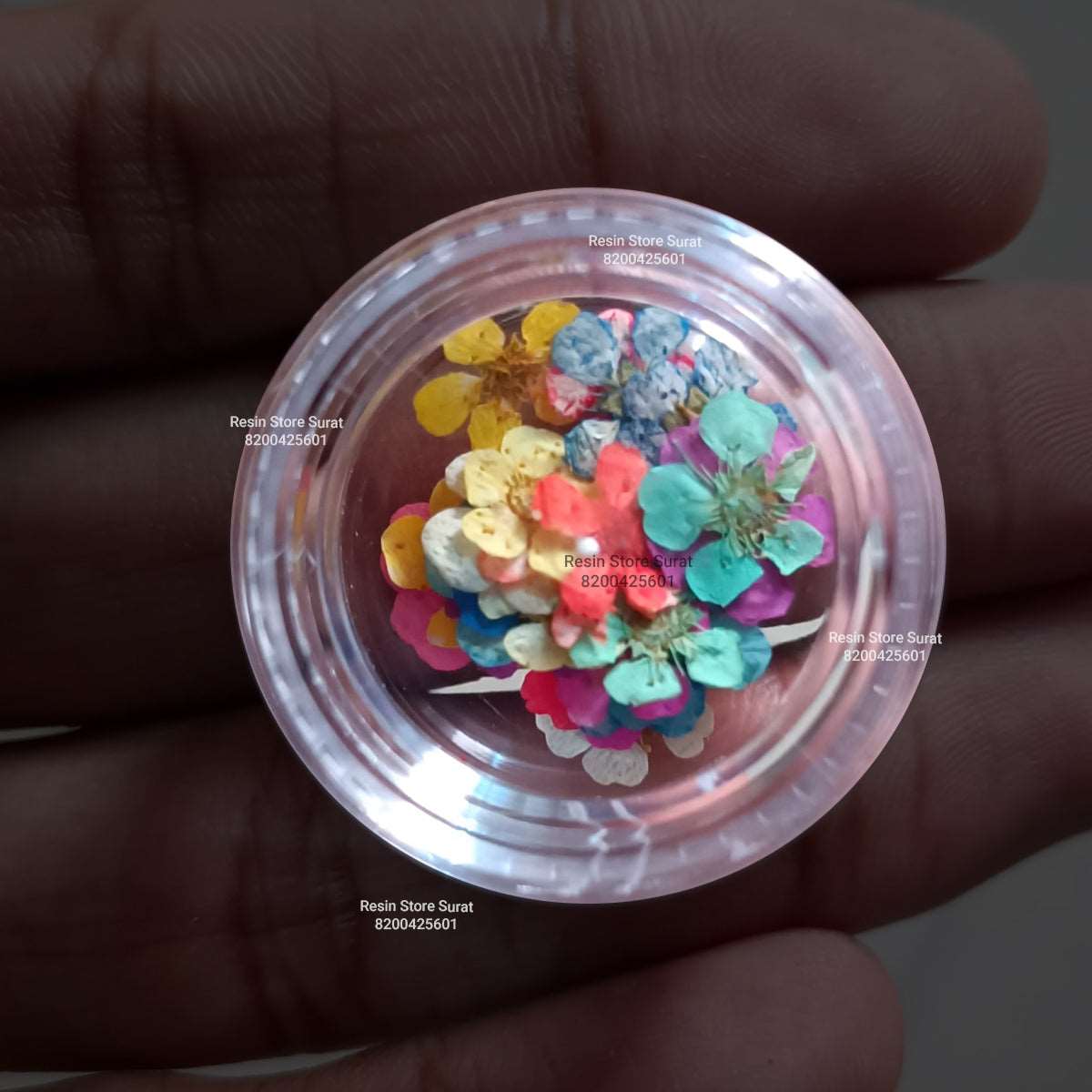 Plum Blossom Pressed Flower – Resin Store Surat